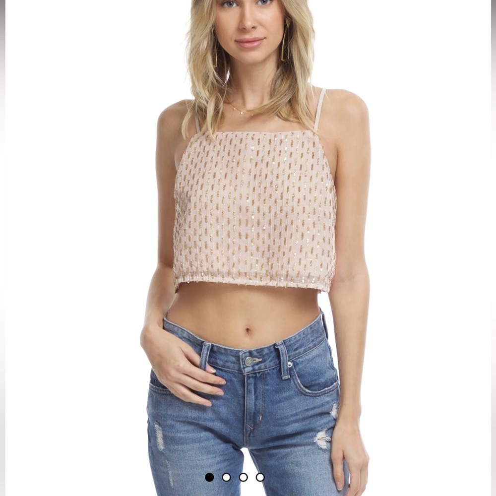 Show Me Your Mumu Tinsley Top - Gem